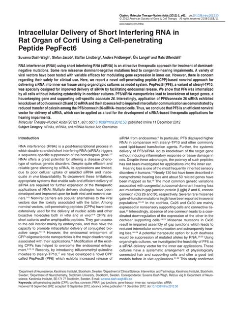 Pdf Intracellular Delivery Of Short Interfering Rna In Rat Organ Of Corti Using A Cell