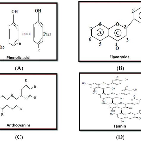 Pdf Phytochemicals Extraction Isolation And Identification Of