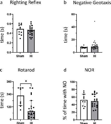 Figure 3 From Impact Of Hypoxia Ischemia On Neurogenesis And Structural And Functional Outcomes