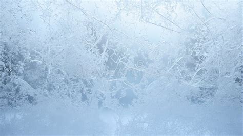 Elegant Frost Patterns On Frosted Window Creating Cold Beauty With
