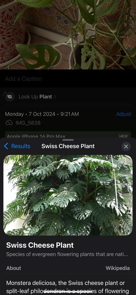 Nandagopal Rajan On Linkedin Once There Used To Be Paid Apps Just For