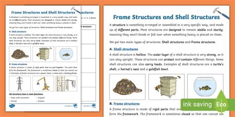 Classifying Structures Solid Frame And Shell Structures Grade 7