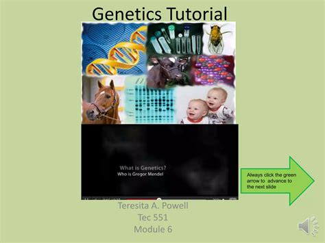 Mm Genetics Lesson Module 6 Tpowell PPT