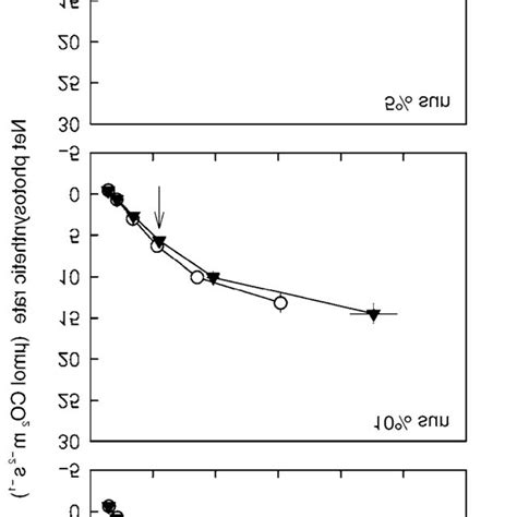 The Relationship Between Intercellular Carbon Dioxide Co 2