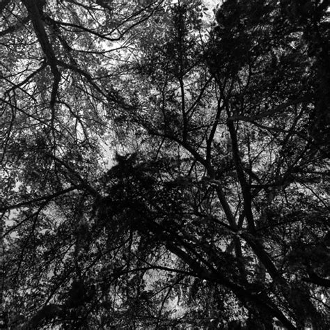 Stream Reset By Structural Path Listen Online For Free On SoundCloud