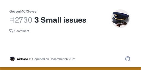 3 Small Issues · Issue 2730 · Geysermcgeyser · Github