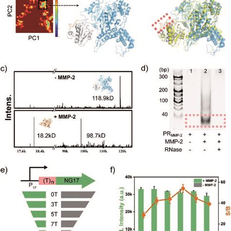 A Principal Component Analysis PCA Depicting A Low Energy Basin Download Scientific Diagram