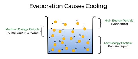 So What Is Evaporative Cooling And How Does It Work
