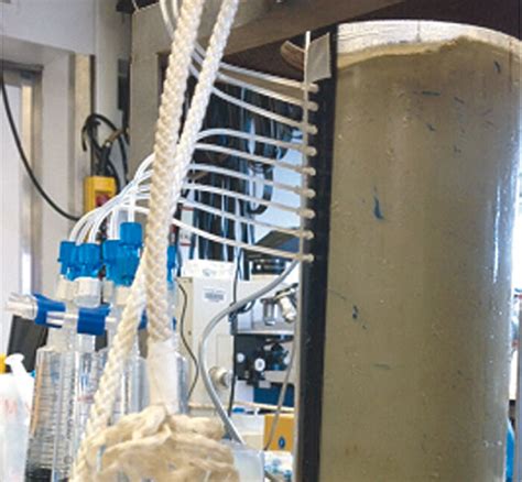 Assessing The Impact Of Ph Fluxes Between The Sediment Water Interface On The Overlaying Water