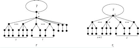 The Transformation T In The Proof Of Theorem 22 Download