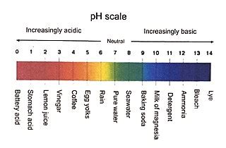 The Ph Scale Overview Calculations And Examples Lesson