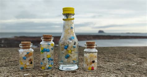 World Earth Day Nurdle Hunt Scottish Seabird Centre