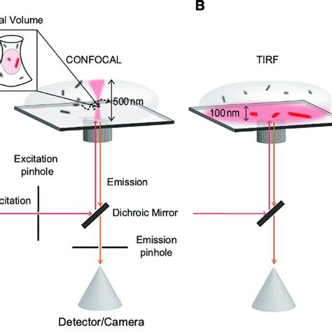 Setup And Comparison Of Fluorescence Based Single Molecule Microscopy
