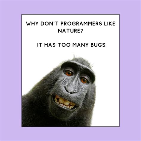 Directdeals Llc On Linkedin Monday Mondaymorning Mondaymood Programmer Jokes Software