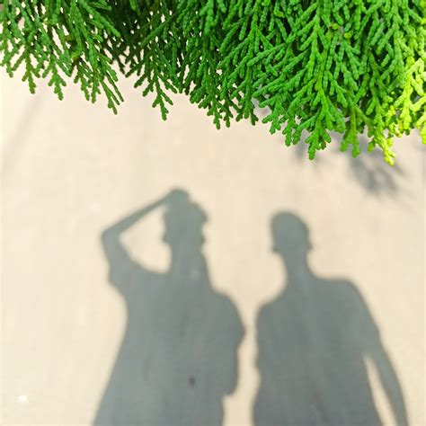 Md Sabbir Hossain Home Facebook