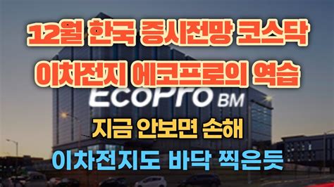 12월 한국 증시전망 코스닥 이차전지 에코프로의 역습 이차전지 바닥 찍은 듯 Youtube