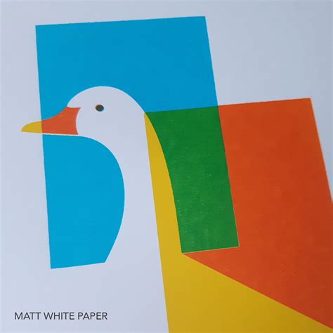 Duck Screen Print Julia Allum Illustration