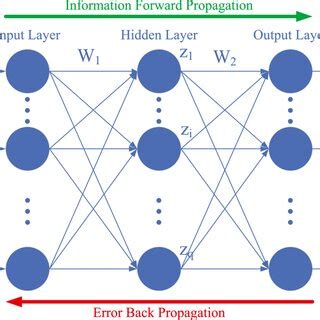 The Structure Of A Typical FNN Download Scientific Diagram