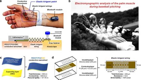 Elastic Kirigami Patch For Electromyographic Analysis Of The Palm