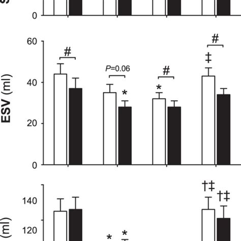 Comparison Of The Effect Of Dehydration And Rehydration On Left