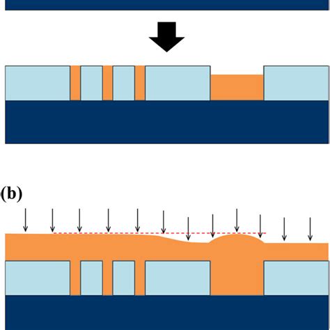 Scheme Of Cu Ecp A Without Bump Formation And B With Bump Formation Download Scientific
