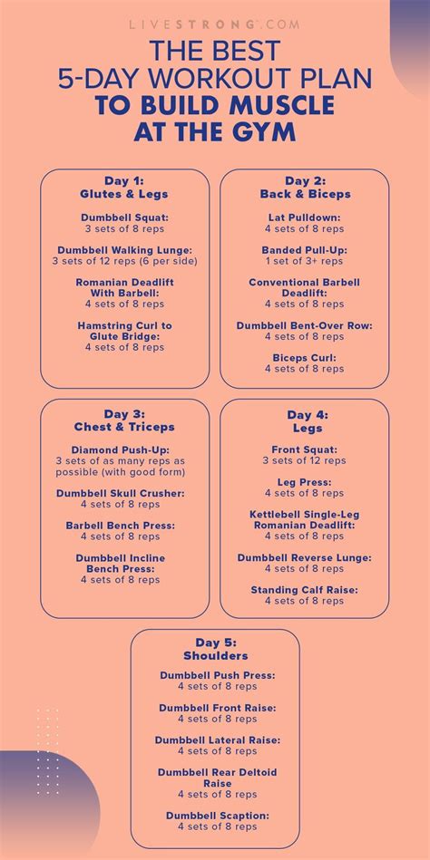 The Best 5 Day Workout Plan For Women At The Gym