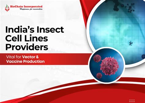 Insect Cell Line Providers In India Key To Viral Vector And Vaccine
