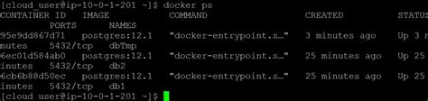 how to store docker container data in docker volumes