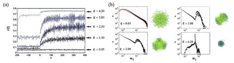 Synchronization In An Adaptive Network Of Kuramoto Oscillators Ruled By Download Scientific