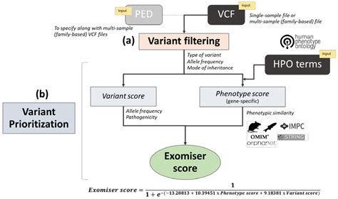 Phenotype Chart