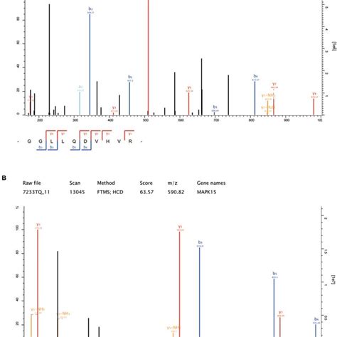 Protein Interaction Networks Based On Protein Protein Interaction