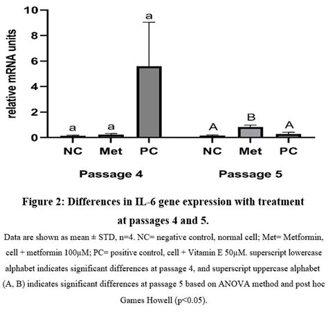 Effect Of Metformin On Interleukin 6 Expression In Human Fibroblast Cell Aging Model