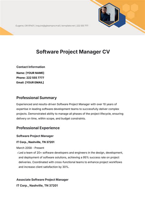Free Aviation CV Template To Edit Online