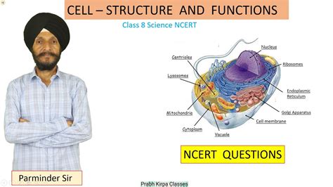 chapter 8 cell structure and functions prabh kirpa classes