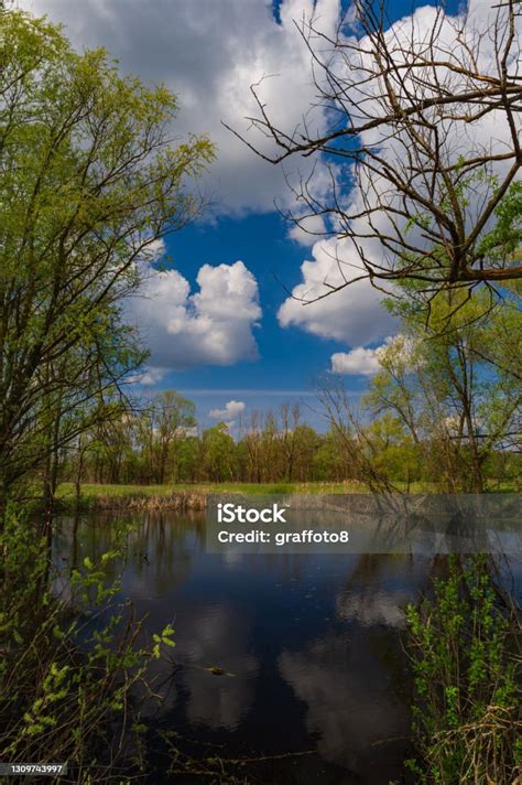 낙엽 숲 화창한 날에 호수 야생의 풍경 0명에 대한 스톡 사진 및 기타 이미지 0명 경관 계절 Istock
