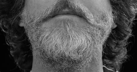 TreeBeard Product Review Beardrevered