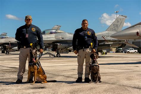 Dvids Images Operation Noble Eagle At Puerto Rico [image 17 Of 17]