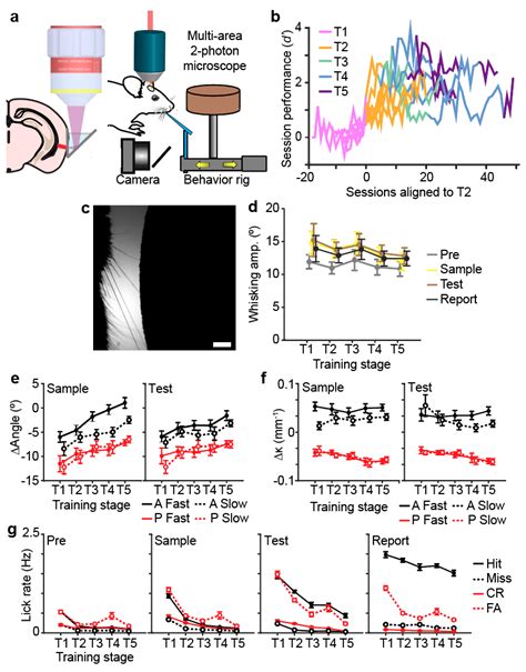 Measuring Behavioral Correlates Throughout Task Learning A Schematic