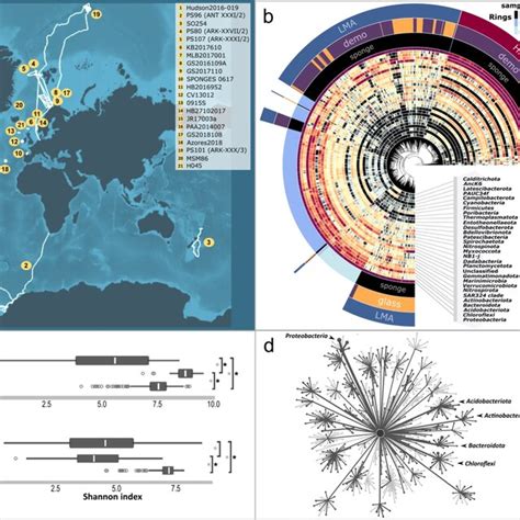Microbial Asv Distributions In Deep Sea Sponges And Across Sample Download Scientific Diagram