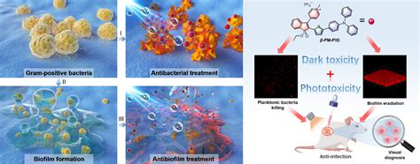 华南理工大学赵祖金教授 Small：磷化膦哚阳离子aie抗菌剂高效治疗耐药细菌感染 中国聚合物网科教新闻