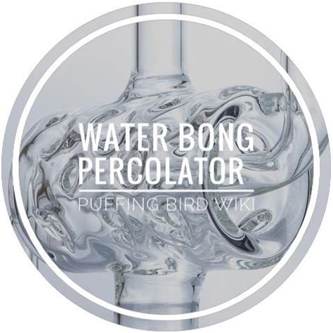 Water Bong Percolators Explained Puffing Bird