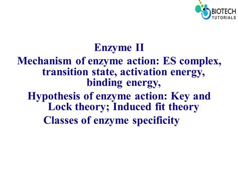 Enzyme II Mechanisms Of Action BSc Nd Sem Pdf Chemistry Science