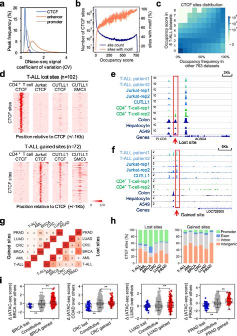 Cancer Specific Ctcf Binding Facilitates Oncogenic Transcriptional