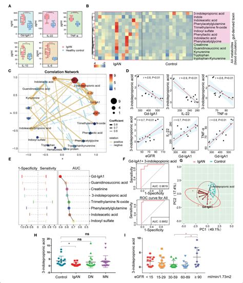 Analysis Of The Correlation Between The Circulating Amino Acid Download Scientific Diagram