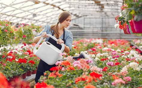 How To Choose The Right Fertiliser For Flowering Plants
