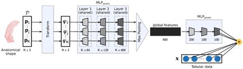 wide and deep pointnet architecture the network takes a point cloud