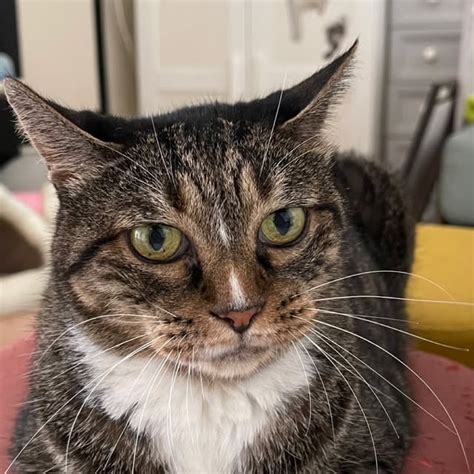 Wen Lee Sweet Wen • Threads Say More