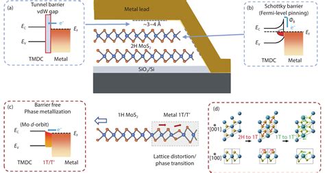 Ohmic Contacts For Atomically Thin Transition Metal Dichalcogenide Semiconductors