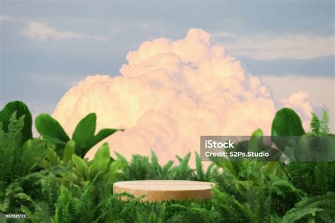 열대 우림 식물 흐림 구름 핑크 골드 푸른 하늘 자연 배경과 함께 초현실적 인 나무 연단 제품 선물 자연 배치 받침대 최소