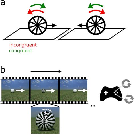 Experimental Paradigm And Perceptual Interpretation Depending On Download Scientific Diagram